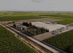 Strategy - Agriculture Capital