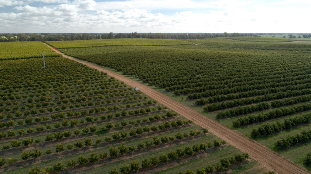 Home - Agriculture Capital